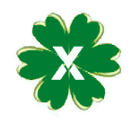 CodeXverde - CodeXVerde