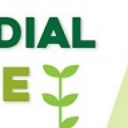 Semana Banner - Codexverde