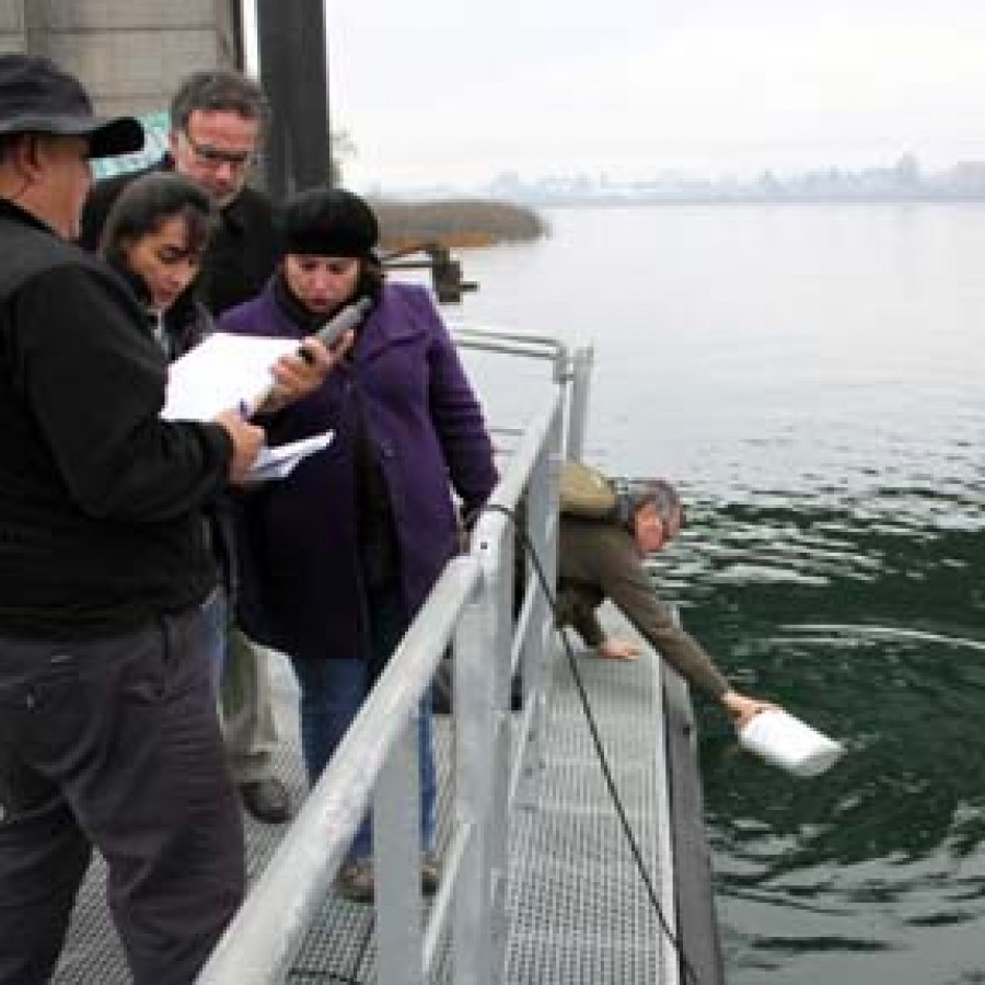 rio valdivia mediciones - Codexverde