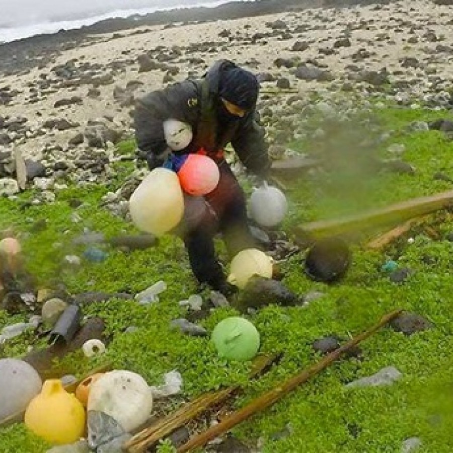 basura-rapa-nui-compressor - CodeXVerde