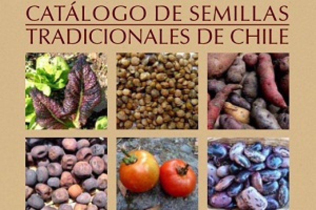 Revisa el catálogo de semillas tradicionales de Chile – 2016 - Codexverde
