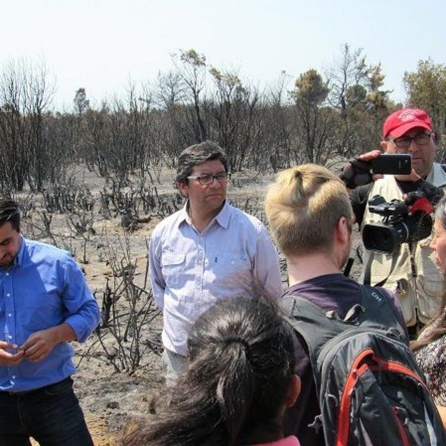 badenier-maule-compressor-compressor - CodeXVerde