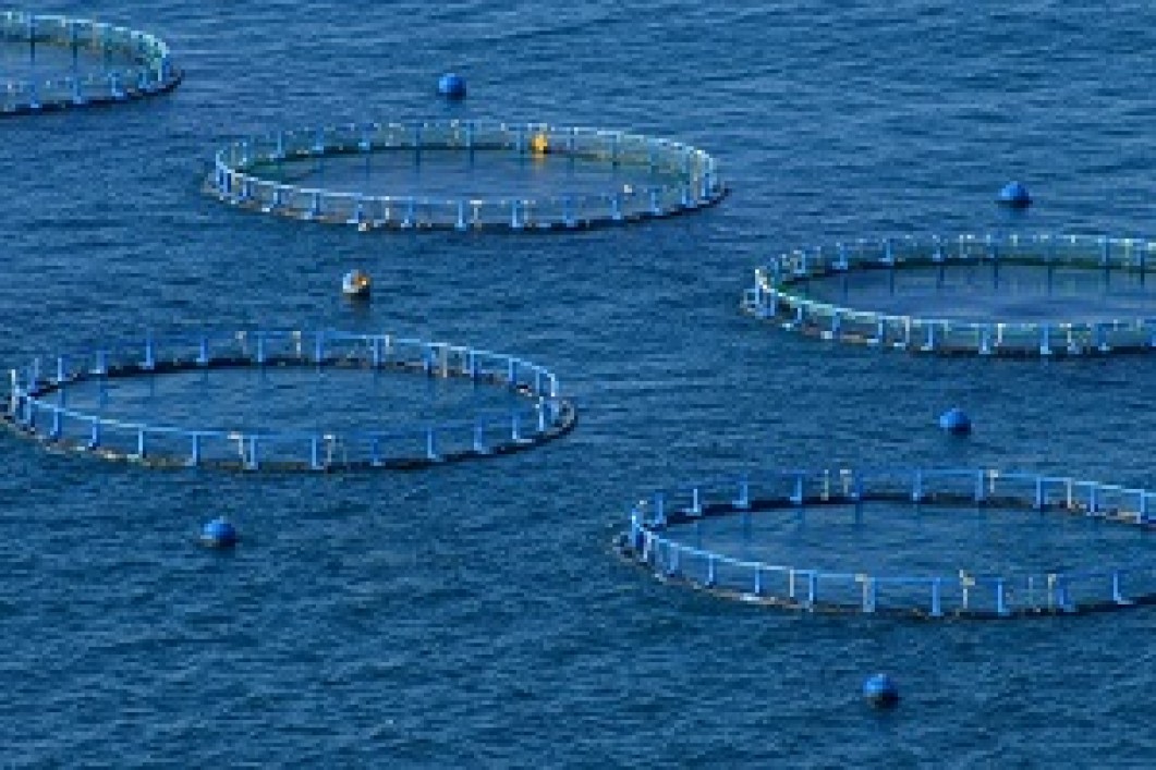 AquaPacífico, nuevo centro de innovación acuícola para la Región de ...