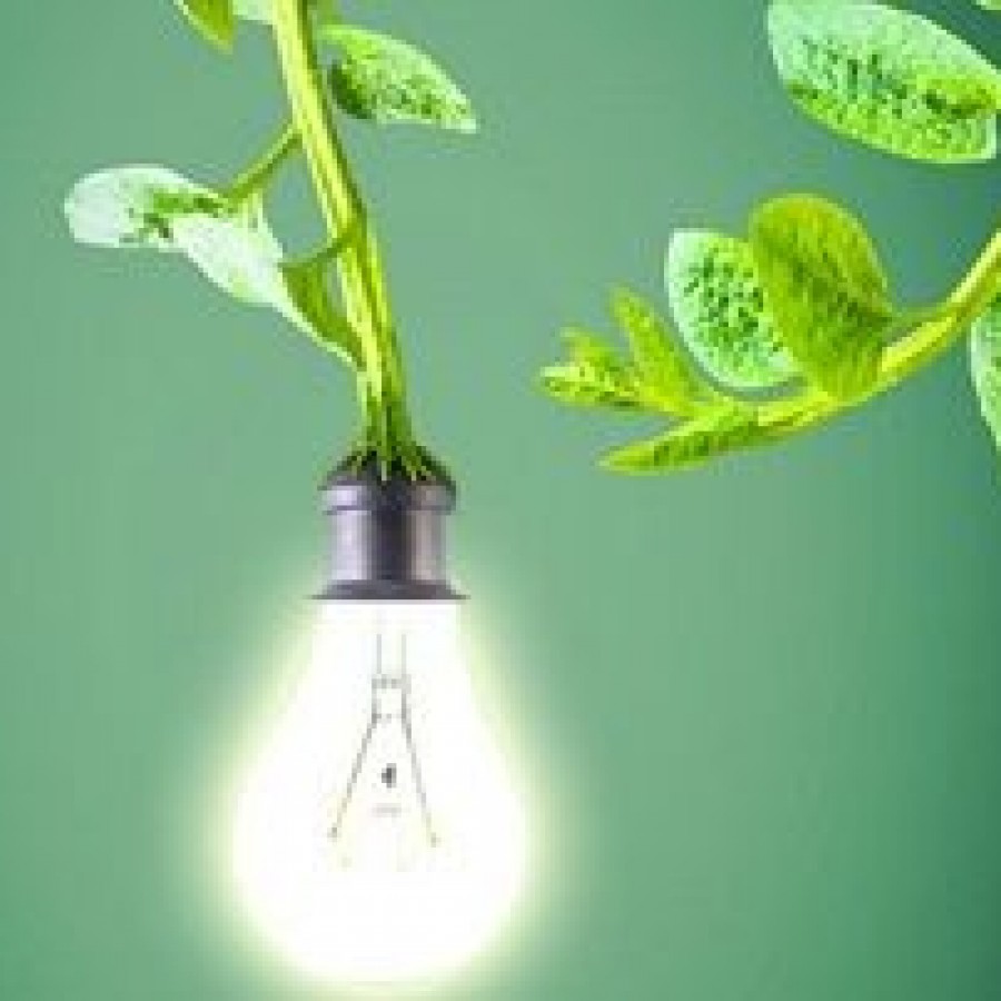 2-marzo-2-chica-compressor - CodeXVerde