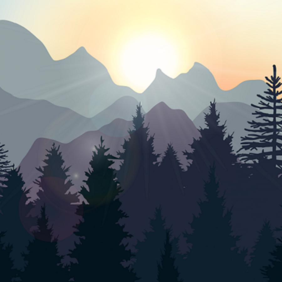 Bosques chica - CodeXVerde