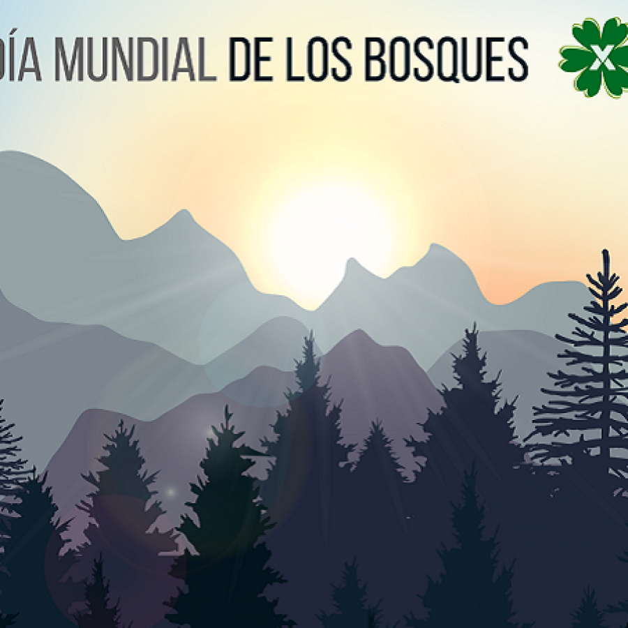 Bosques chica - CodeXVerde
