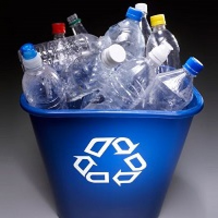 En el mundo - CodeXVerde