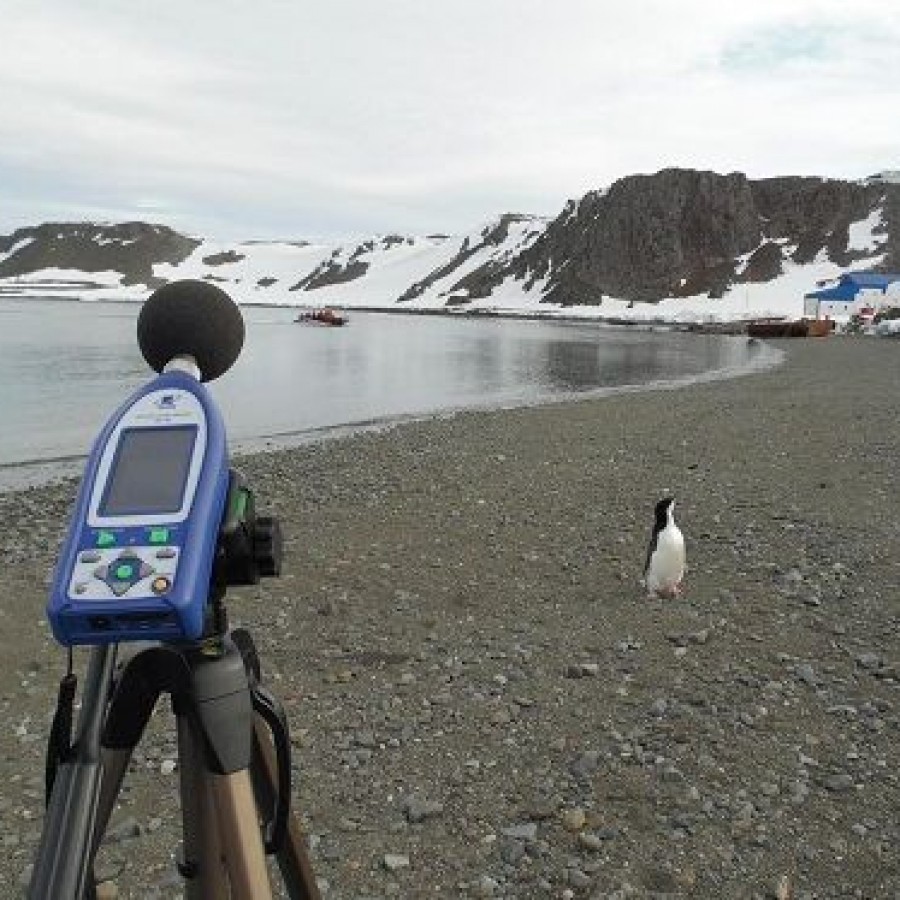 wE0xm1xf-compressor - CodeXVerde