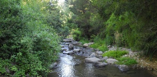 Región del Bío Bío archivos - CodeXVerde