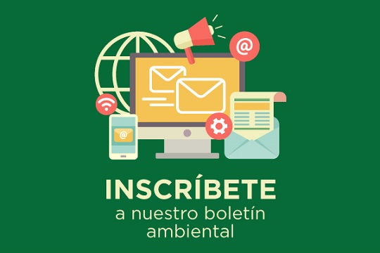 Banner nuevo newsletter - CodeXVerde