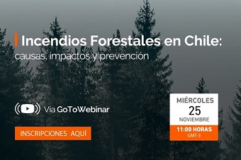 banner web - CodeXVerde