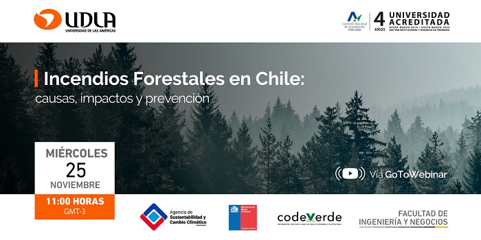 gráfica2 - CodeXVerde