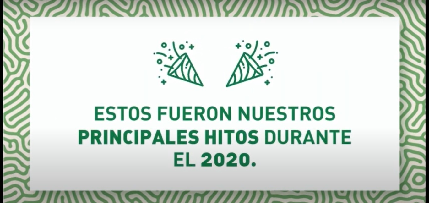 foto video - CodeXVerde