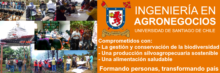 Banner Ingeniería en Agronegocios 750x250 (1) - Codexverde