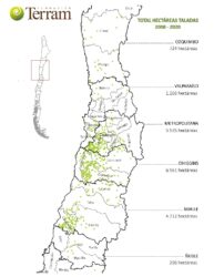 mapa-legible-min - CodeXVerde