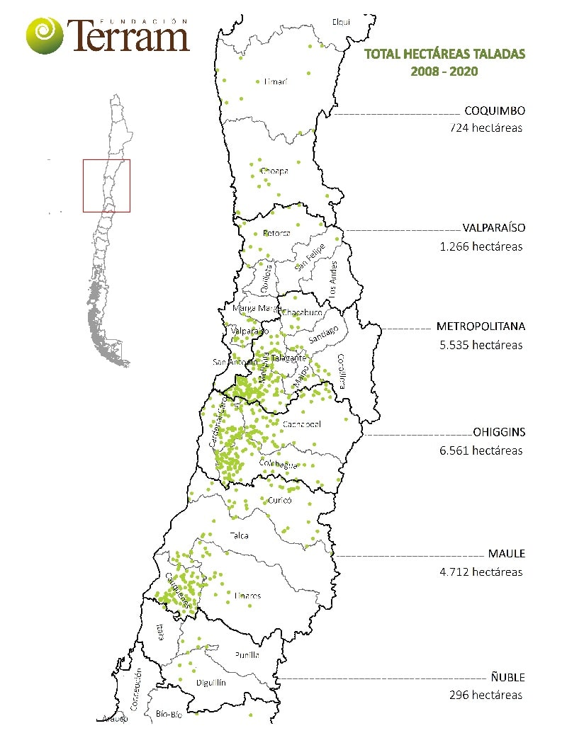 mapa-legible-min - CodeXVerde