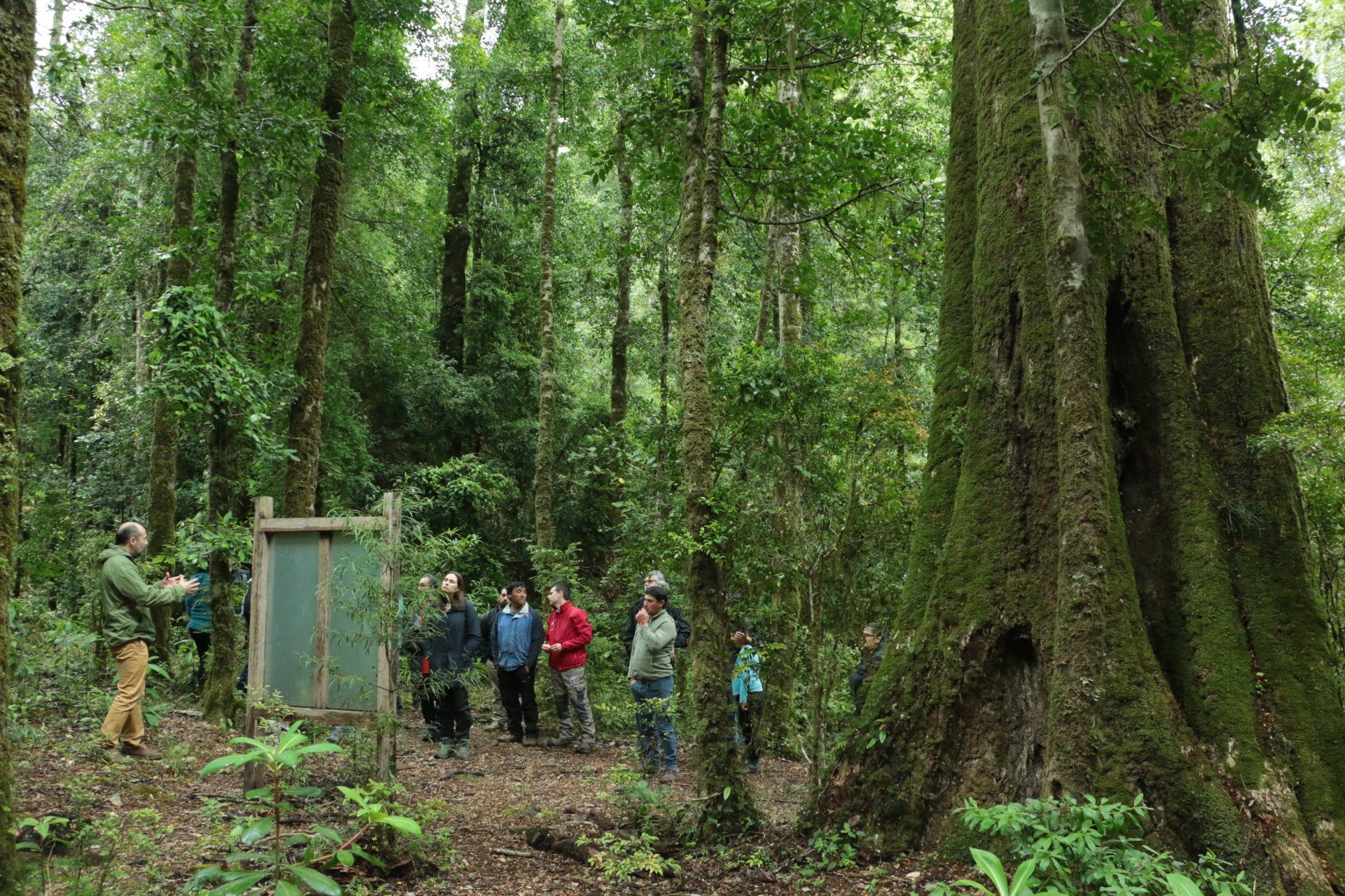 Llancahue8-1-min - Codexverde