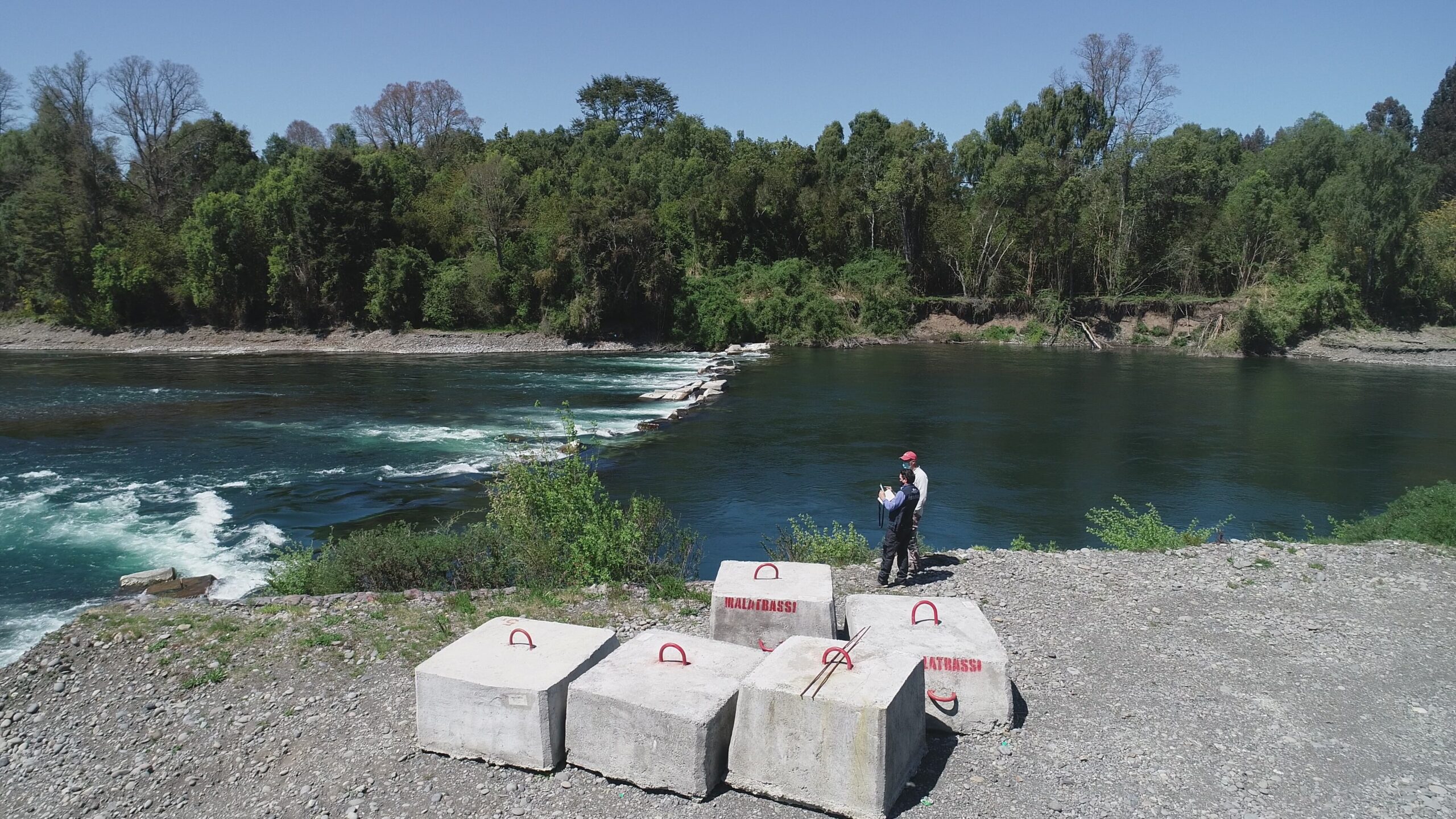 Foto-5-1-min - CodeXVerde