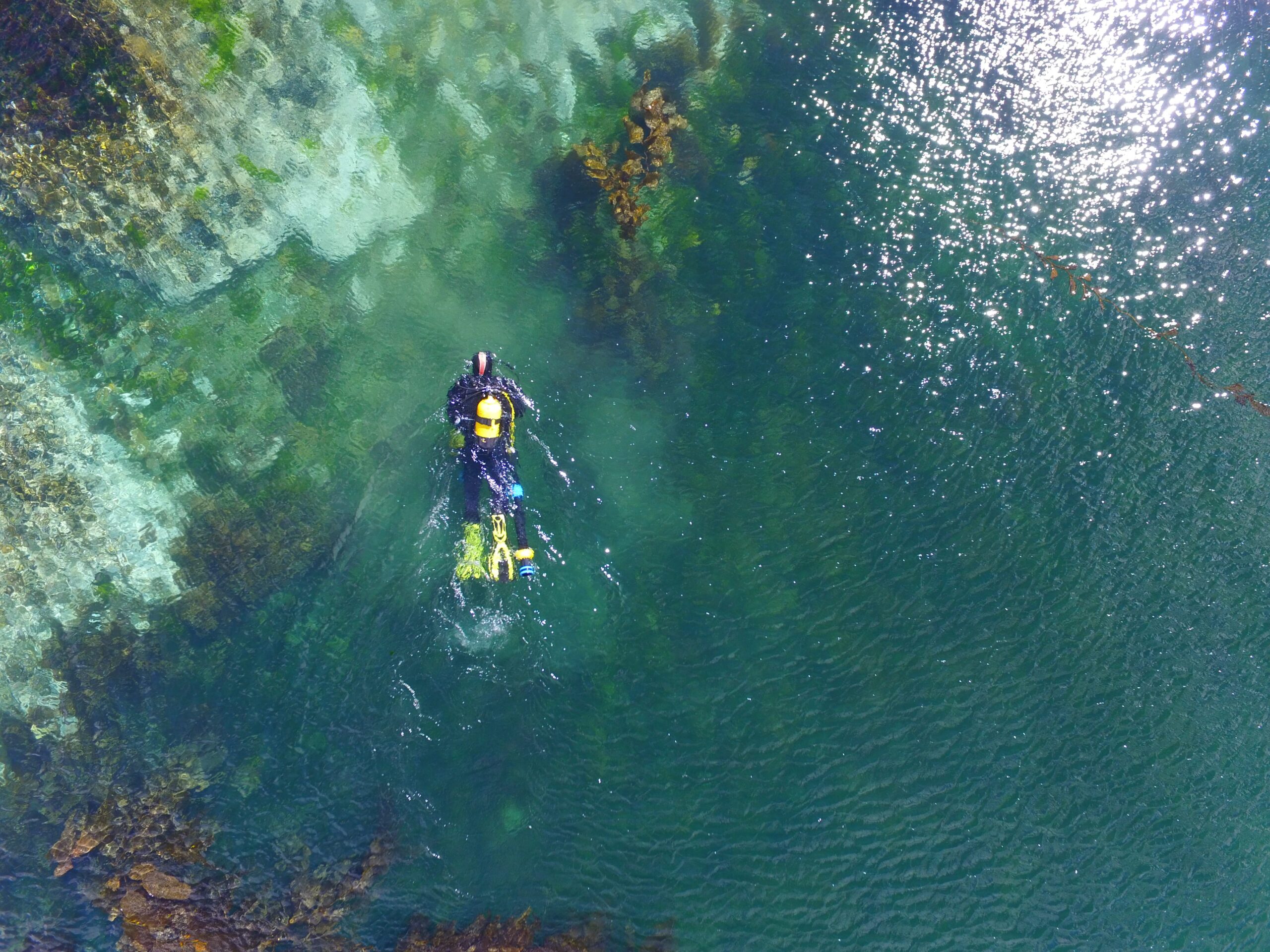 1-1-min - CodeXVerde