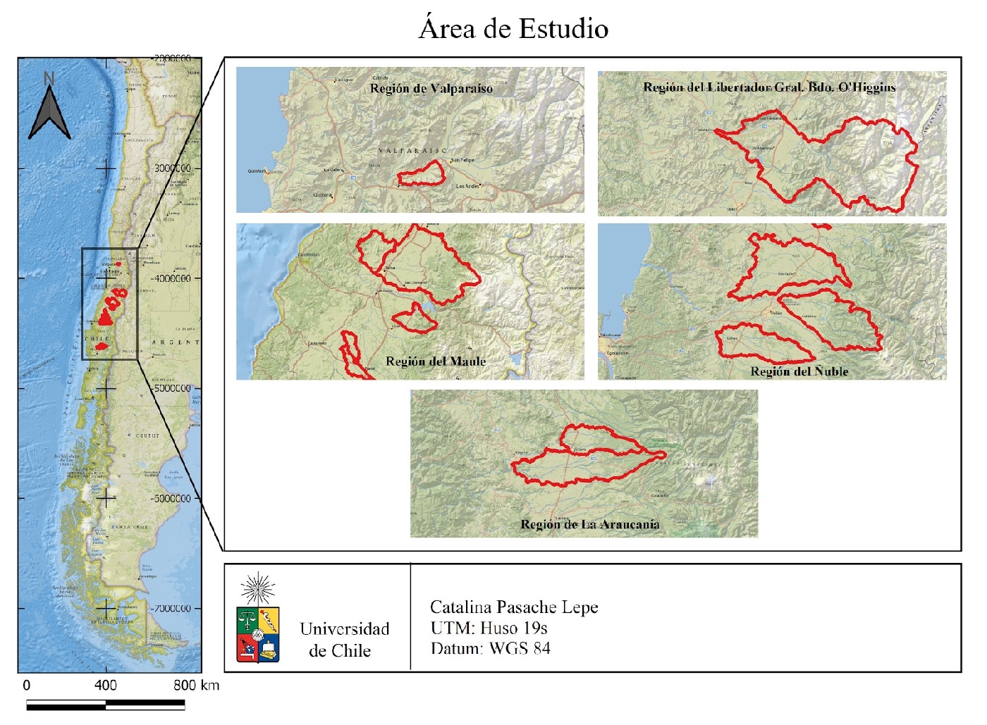 area-de-estudio11-min - CodeXVerde
