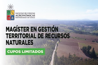 banner definitivo - Codexverde