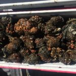 256-min - CodeXVerde