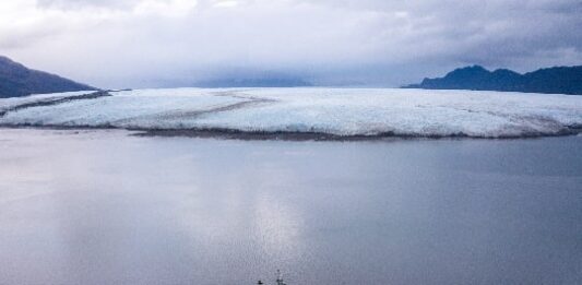 Biodiversidad archivos - CodeXVerde