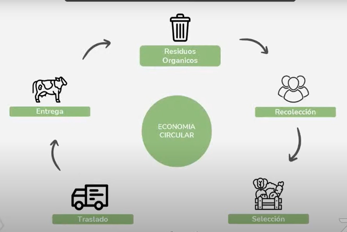 rwalim-min - CodeXVerde