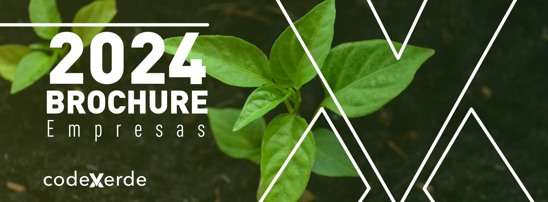 Portada-Brochure - Codexverde