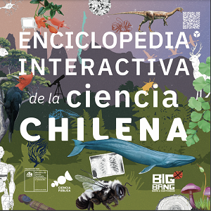 Enciclopedia-1 - CodeXVerde