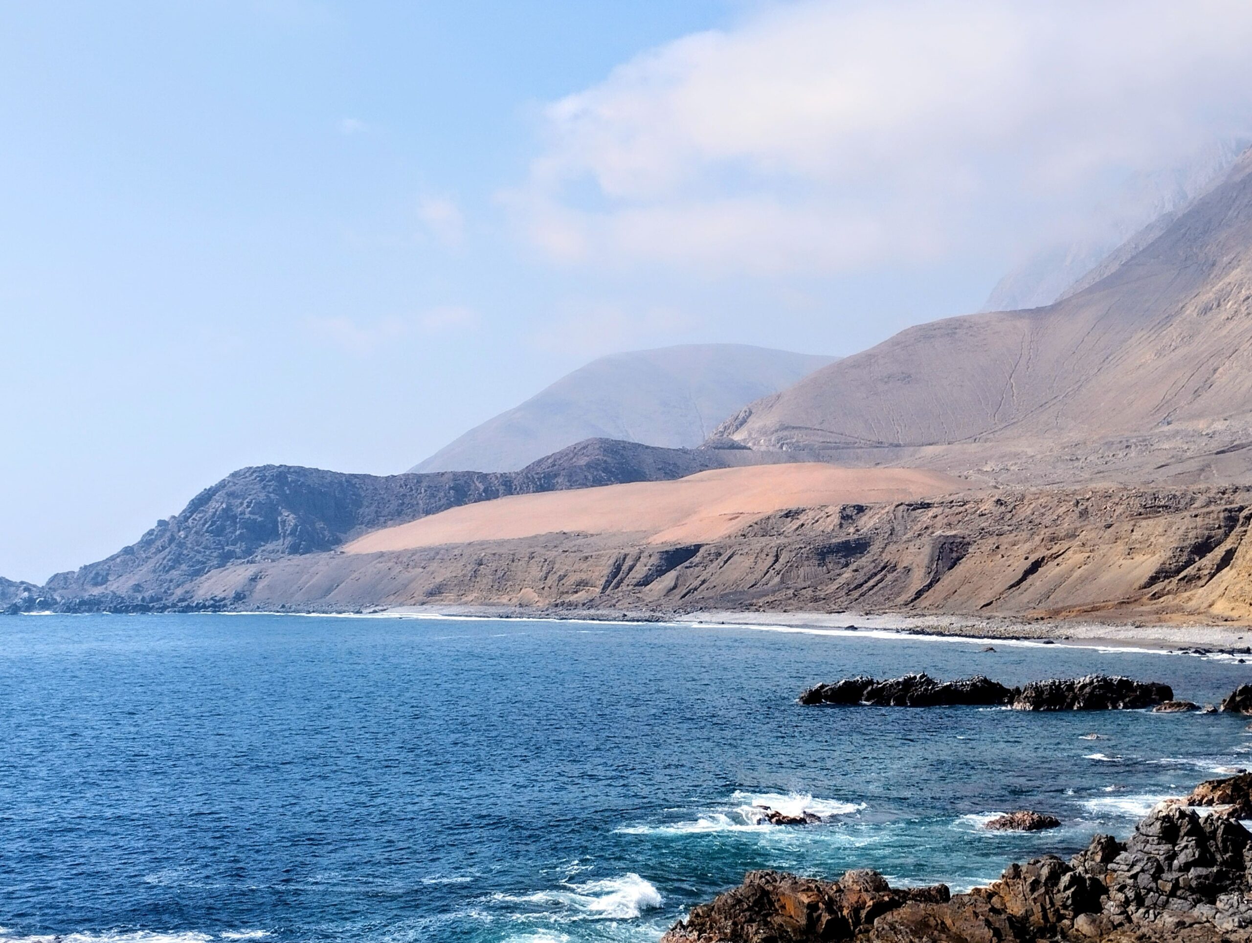 Foto 2 (1) - CodeXVerde