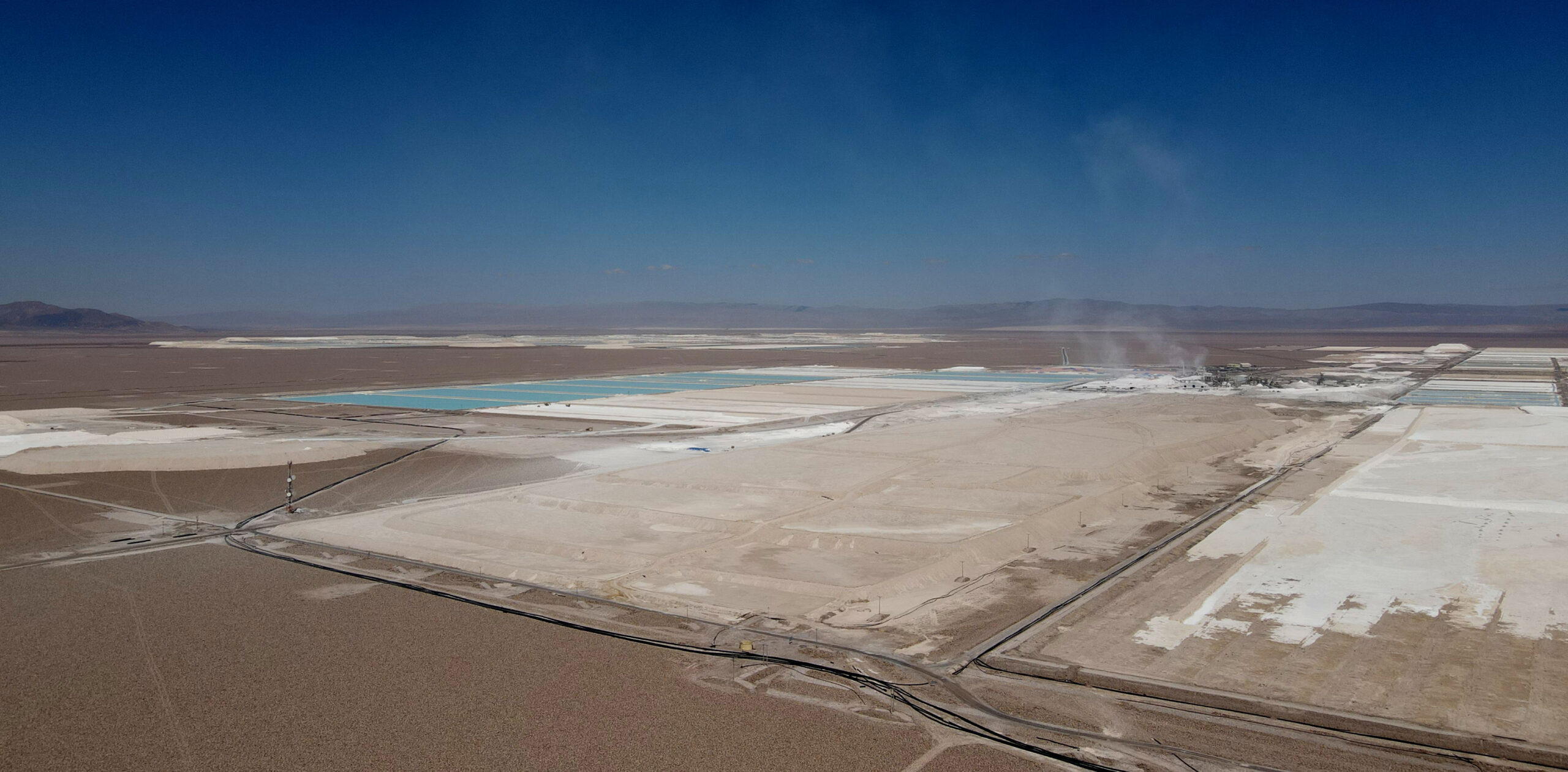 default - Codexverde