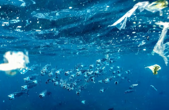 plástico agua - Codexverde